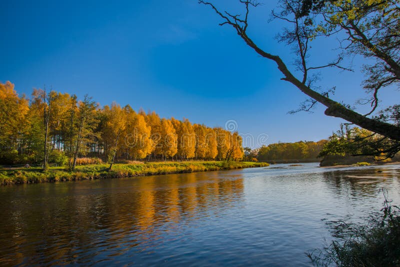 Fall is on the way stock photo. Image of landscape, maple - 197244578