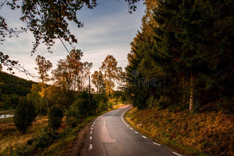 Fall is on the way stock image. Image of gold, evening - 197268847