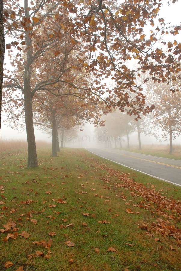 Fall Weather stock image. Image of weather, mood, november - 7078991