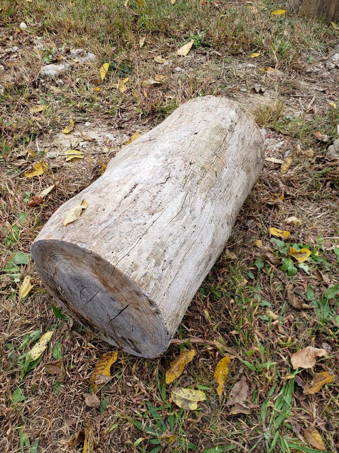 Fall Weather Log Around Campfire Stock Image - Image of weather, camp ...