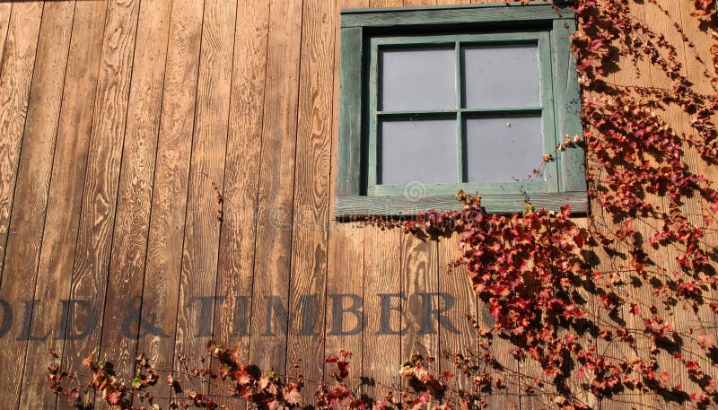 Fall Window stock image. Image of plants, window, leaves - 416599