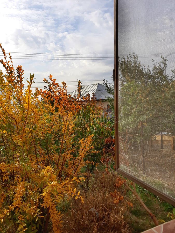 Fall window view stock image. Image of autumn, frame - 129218181