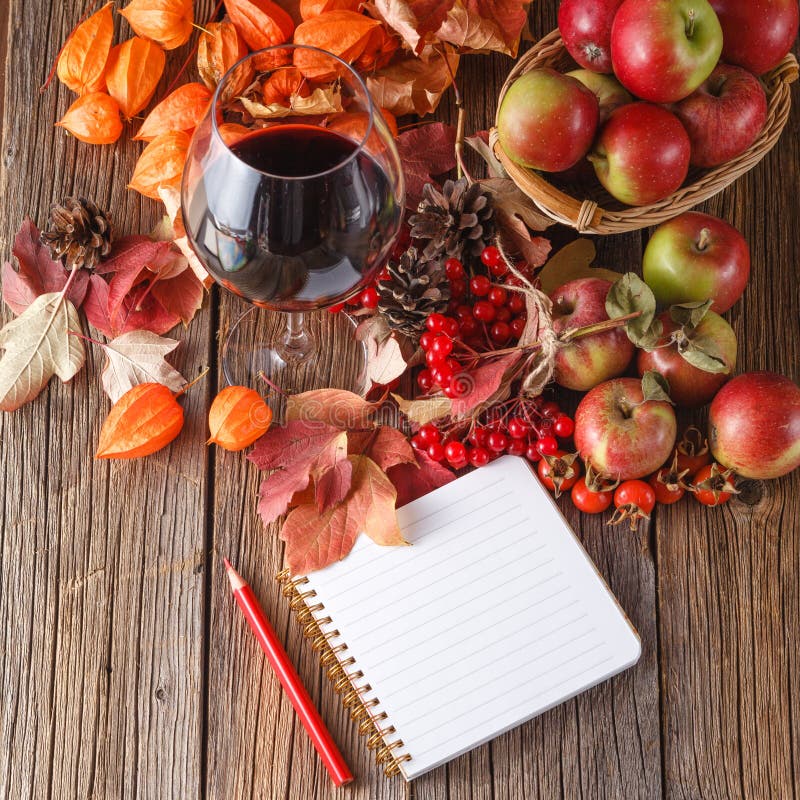 Fall Wine Vines Yellow Vineyards Napa Stock Photo - Image of grass ...