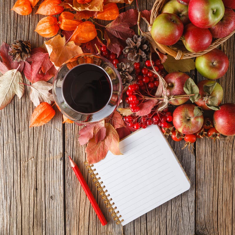 Fall Wine Vines Yellow Vineyards Napa Stock Photo - Image of grass ...