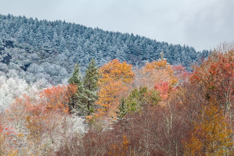 Fall and Winter Mix in Pisgah National Forest Stock Image - Image of ...