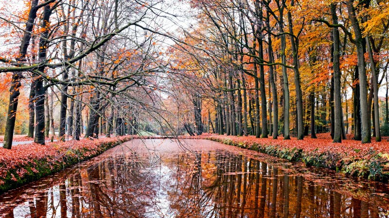 Fall in the Woodlands of Netherlands Stock Photo - Image of european ...