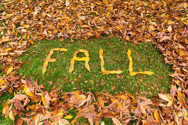 Fall stock image. Image of angle, season, autumn, bright - 45200255