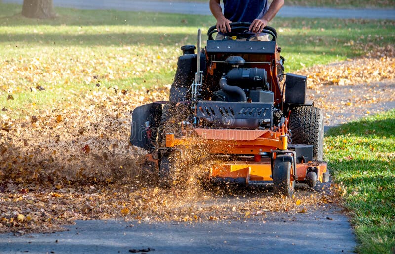 Fall yard clean up stock photo. Image of activity, people - 320353420