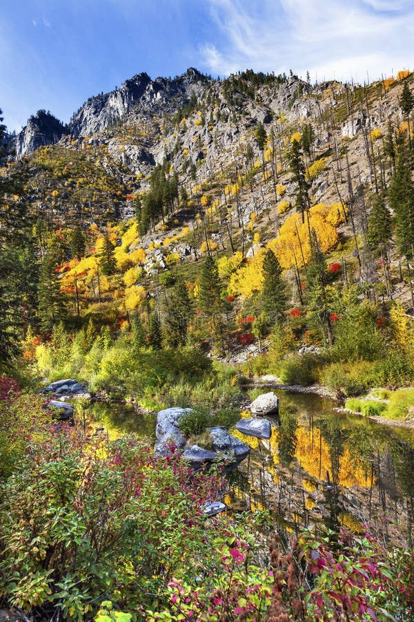 Yellow Red Fall Colors Water Reflection Wenatchee River Stock Photos ...