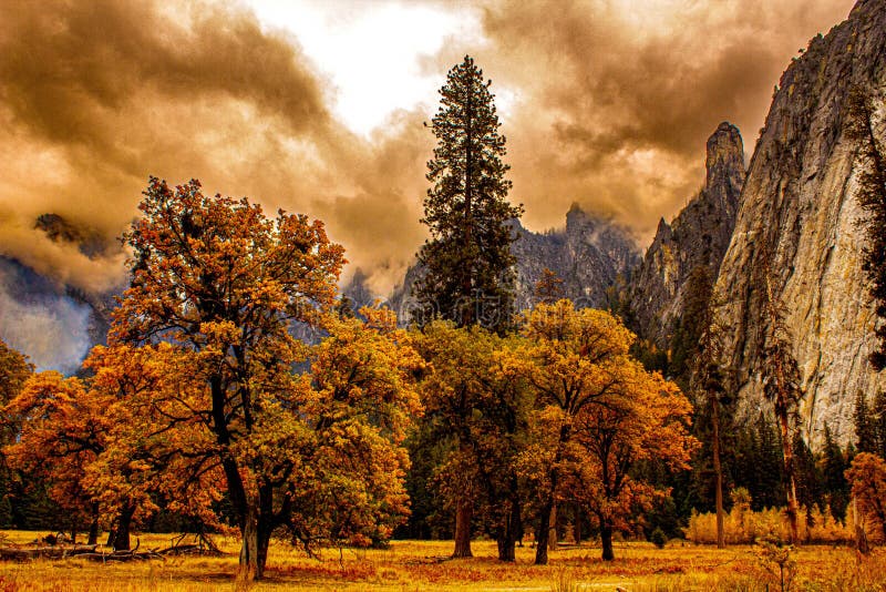 Fall in Yosemite Valley stock photo. Image of trees - 259677454