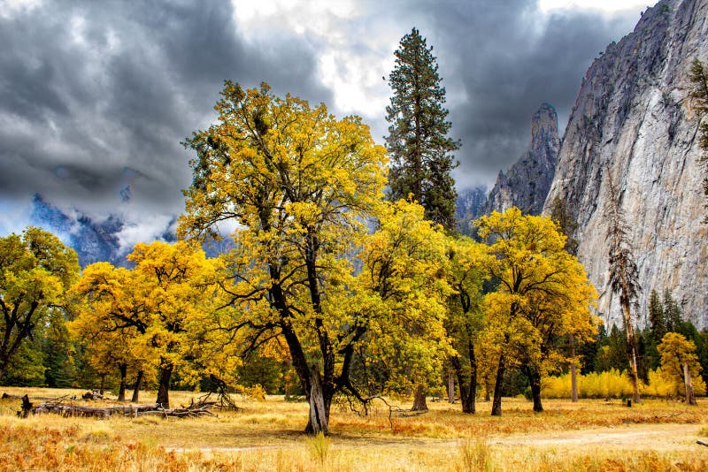 Fall in Yosemite Valley stock image. Image of color - 259677459