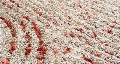 Fall zen background stock image. Image of oriental, maple - 1509795