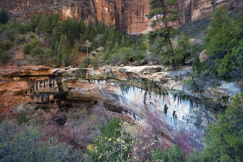 Fall in Zion National Park stock image. Image of sandstone - 12555319