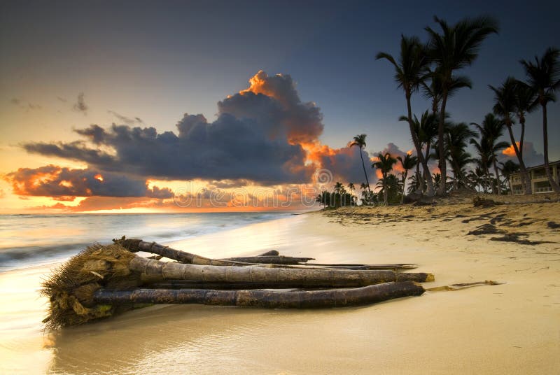 Fallen stock photo. Image of sunset, dramatic, light, sunrise - 9463668