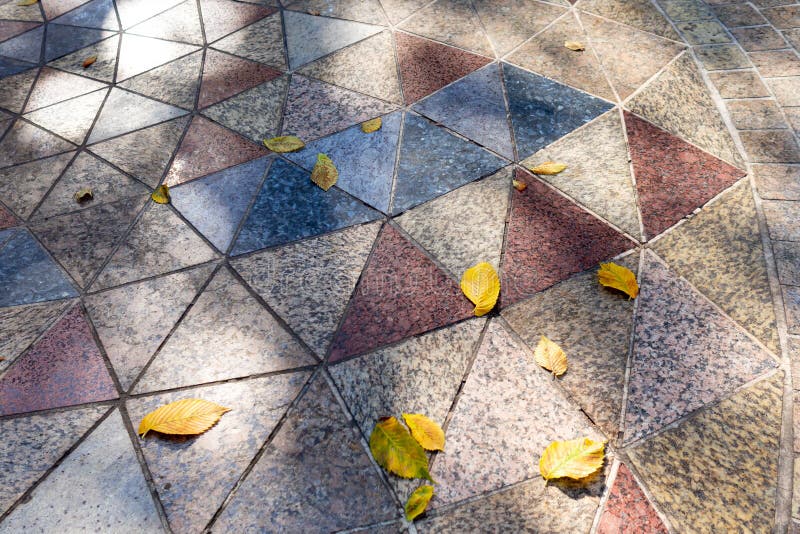 Fallen Autumn Leaf on a Decorative Polished Tile at Sunset. Close-up ...
