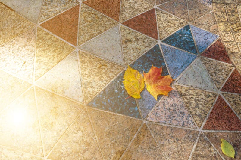 Fallen Autumn Leaves on a Decorative Polished Tile on a Sunny Day ...