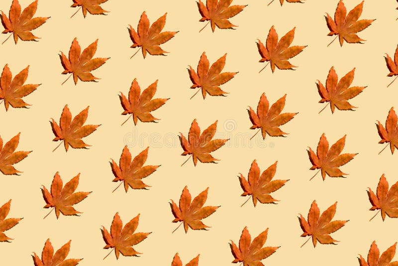 Fallen Autumn Leaves Pattern on Pastel Beige Background. Creative Top ...