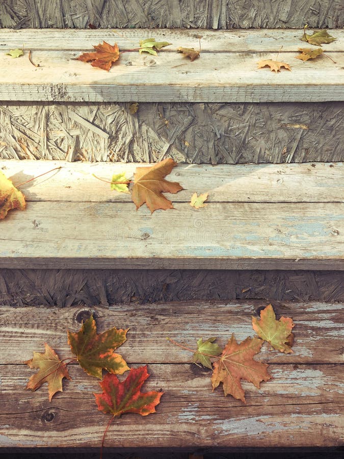 Leaves on Steps stock photo. Image of planks, wood, seasonal - 30486