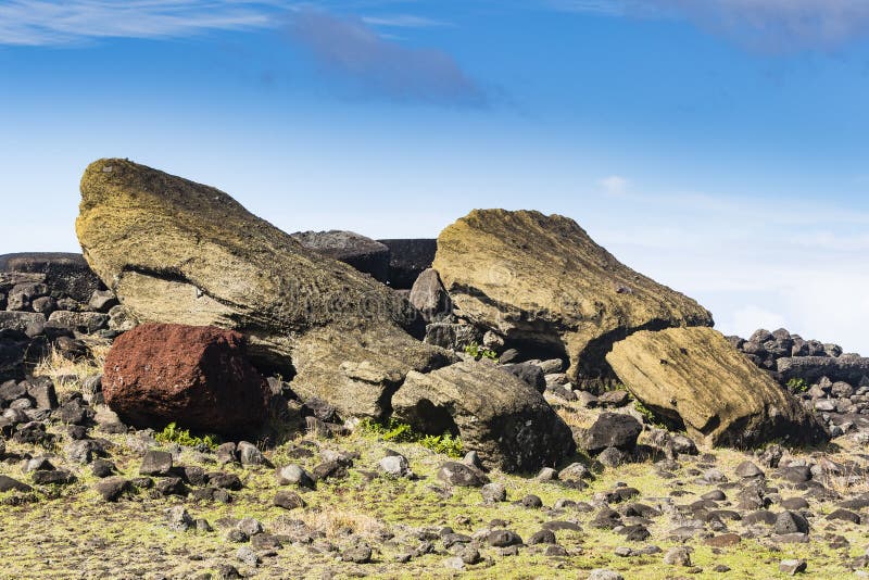 Moai fallen face down stock photo. Image of travel, moai - 73849156