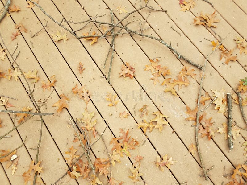 Fallen Brown Leaves and Sticks on Wood Deck Stock Image - Image of ...