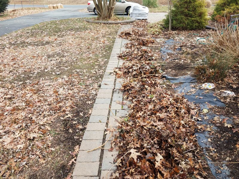 Fallen Brown Leaves and Stone Path or Trail in Yard Stock Photo - Image ...