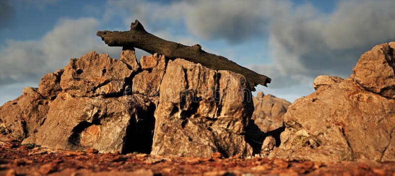 Fallen Dead Tree Trunk on Sandstone Rock Formation in Sunlight. Stock ...