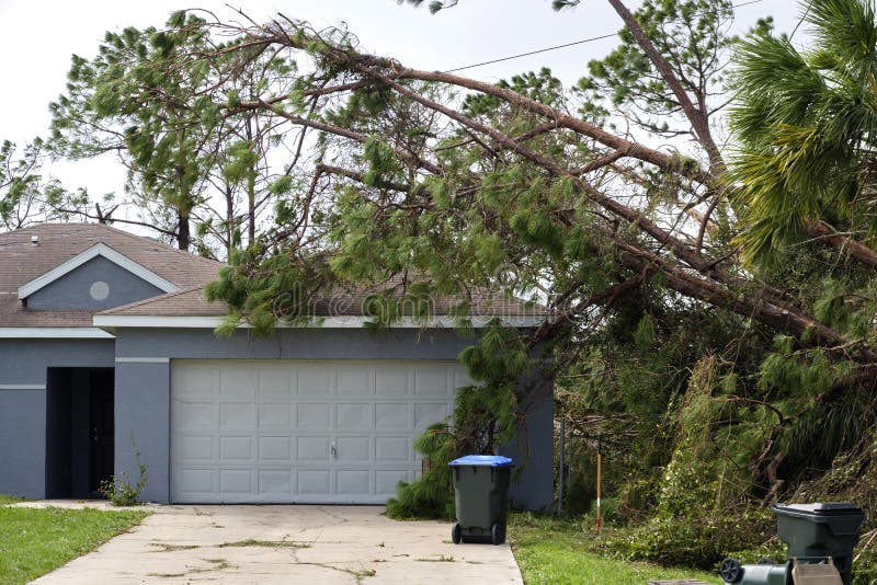 Fallen Down Big Tree on a House after Hurricane Ian in Florida ...