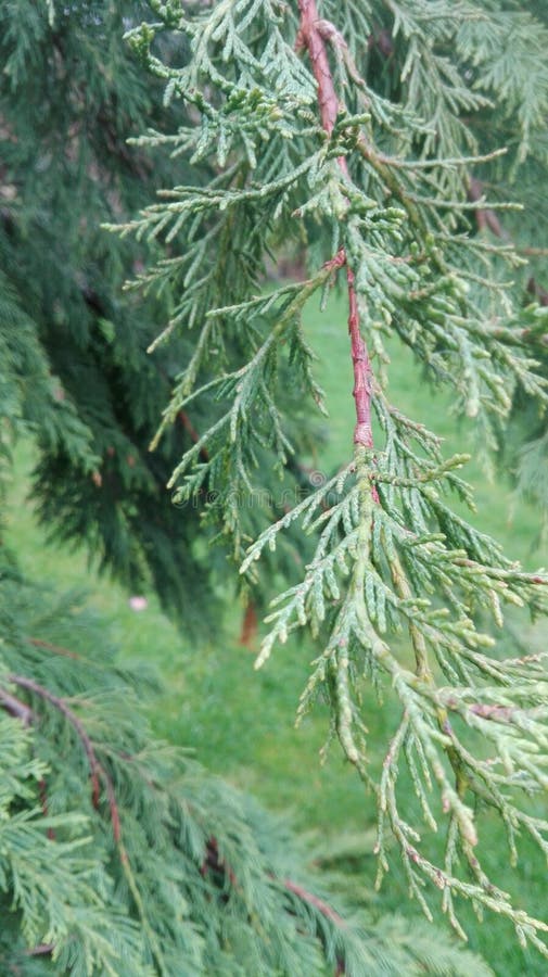 Green in the layers stock photo. Image of formation, beach - 4860468