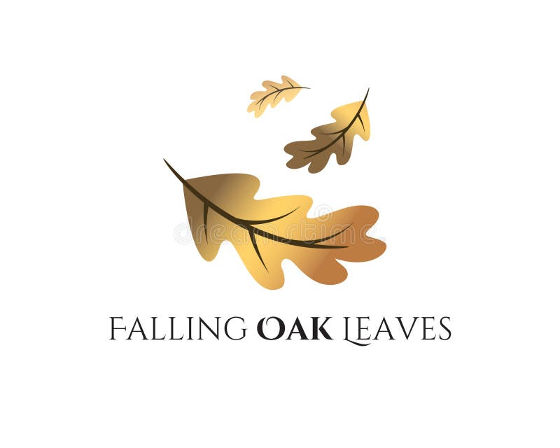 Fallen Golden Oak Leaf Logo Stock Vector - Illustration of orange, sign ...