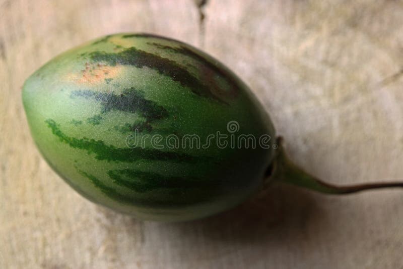 FALLEN GREEN TREE TOMATO FRUIT on a WOODEN SURFACE Stock Image - Image ...