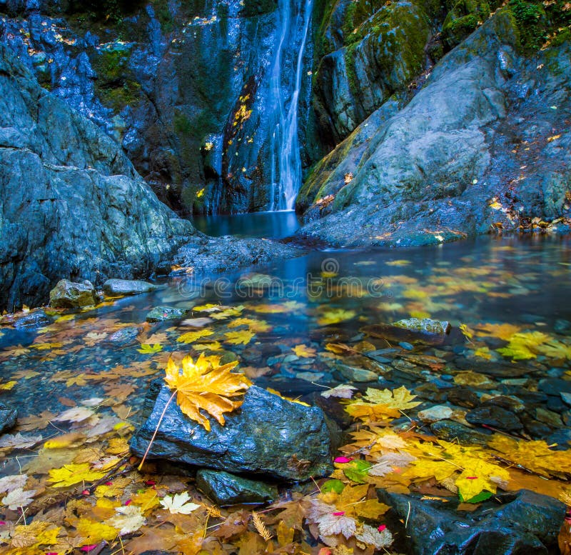 Fallen leaf at a waterfall stock photo. Image of landscape - 167271772