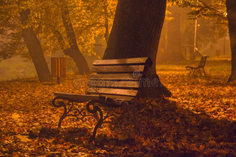 In the Autumn Park at Night Stock Image - Image of haze, wind: 129110397