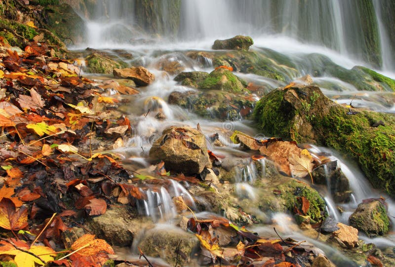 Fallen Leaves and Mossy Stones at a Waterfall Stock Image - Image of ...