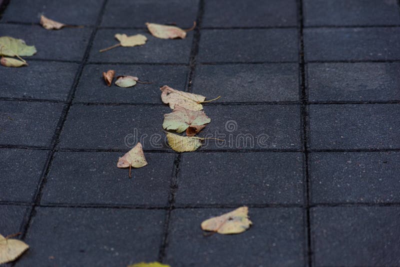 753 Soft Paving Stock Photos - Free & Royalty-Free Stock Photos from ...