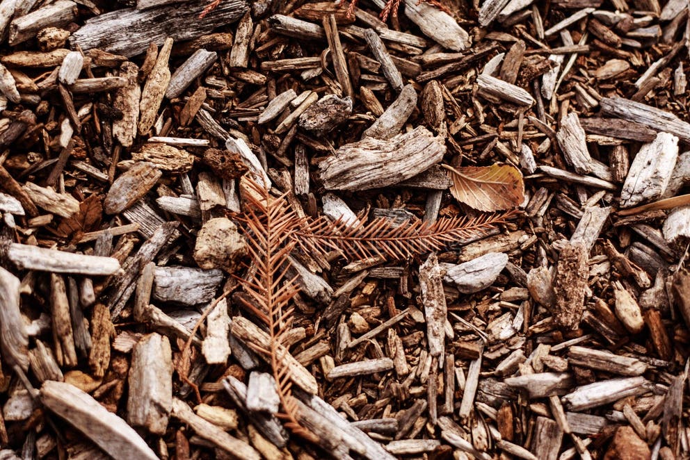 Fallen stock photo. Image of chips, fallen, ground, change - 134594368