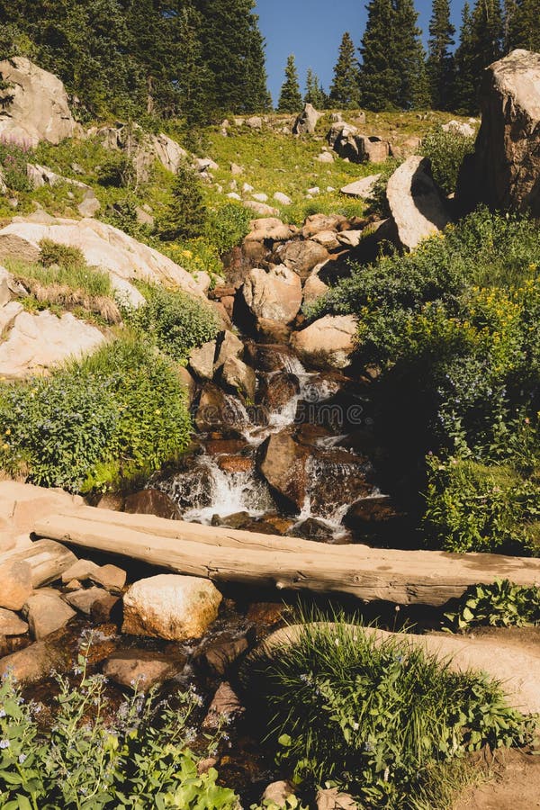 Fallen Log Makes Bridge in Front of Waterfall Stock Image - Image of ...
