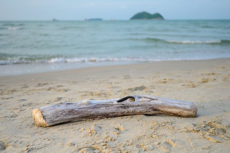 Fallen Log on Sand Beach with Island on Background Stock Photo - Image ...