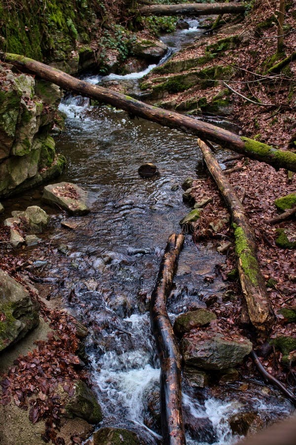 Fallen Logs Over a Stream in a German Forest Stock Photo - Image of ...