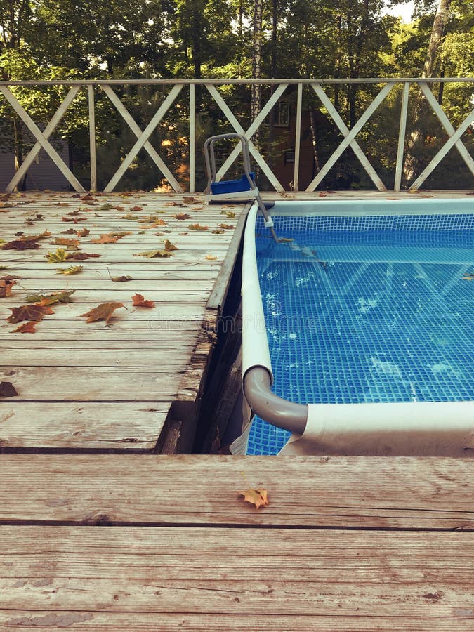 Leaves in a pool. stock photo. Image of pool, water, nature - 51094056