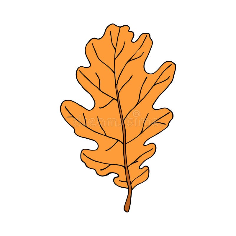 Fallen Oak Leaf in Cartoon Style. Vector Illustration Isolated on White ...