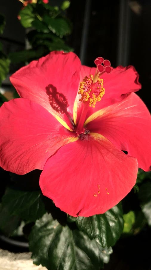 Ernie Lopez (Ernielopez) - Photographer profile