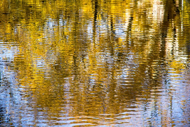 Fallen Reflections in the Water Autumn Leaves. Stock Photo - Image of ...