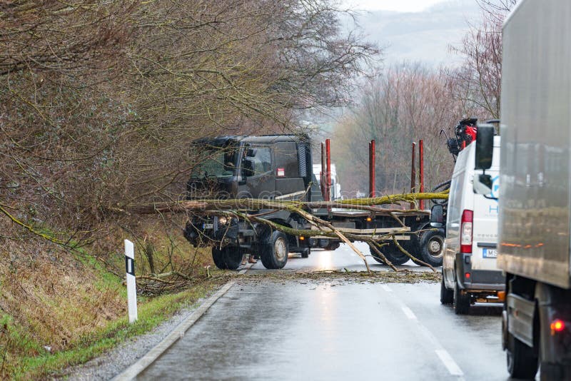 Fallen Tree Blocked the Road Editorial Photography - Image of barrier ...