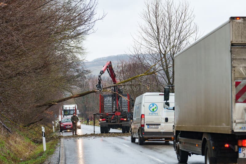 Fallen Tree Blocked the Road Editorial Image - Image of cutting ...