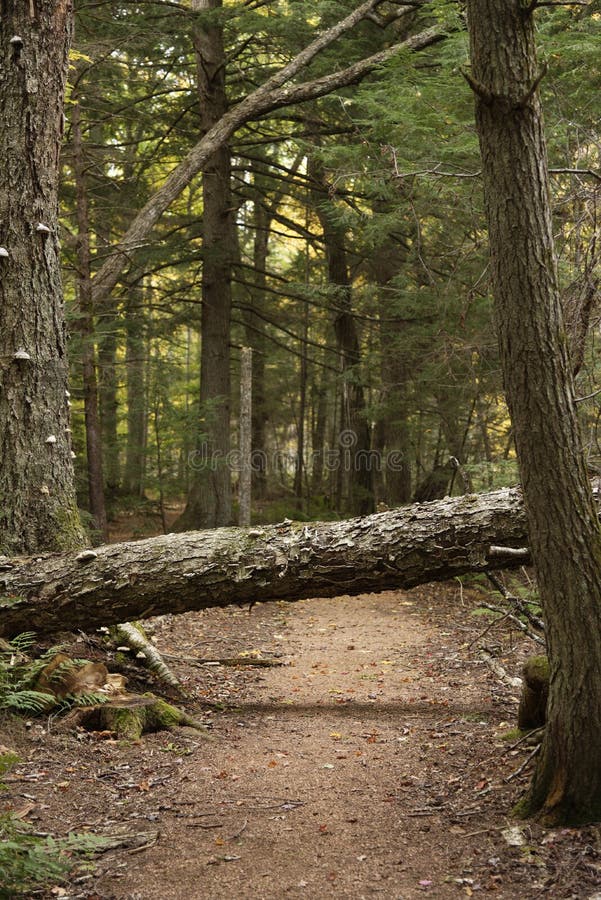 183 Blocking Walkway Stock Photos - Free & Royalty-Free Stock Photos ...