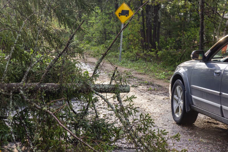 Fallen Tree Blocks Car Stock Photos - Free & Royalty-Free Stock Photos ...