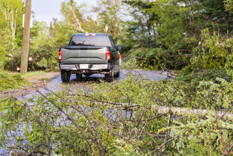 Fallen Tree Blocks Main Road after Storm Stock Photo - Image of branch ...