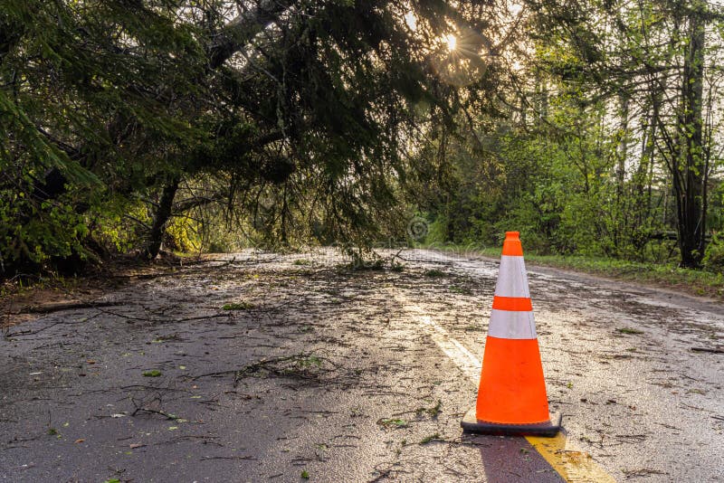 Fallen Tree Blocks Main Road after Storm Stock Photo - Image of severe ...