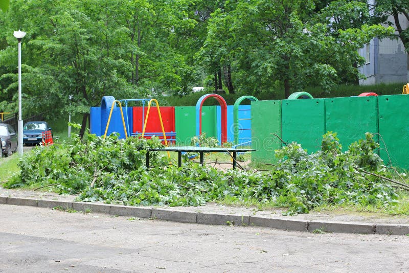 Fallen Tree Branches after Wind Storm. Hurricane Effects Stock Image ...