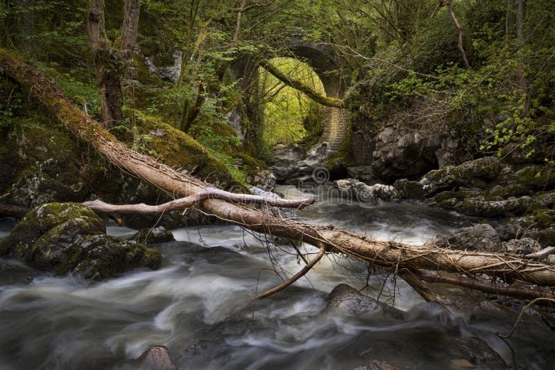 A fallen tree and a bridge stock photo. Image of brickwork - 218546622